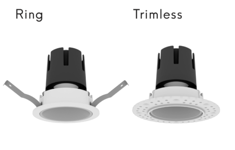 Nemo-scopri-di-più | PAN